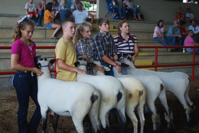 4-H ANIMAL PROJECTS AND ACTIVITIES | Loudon County