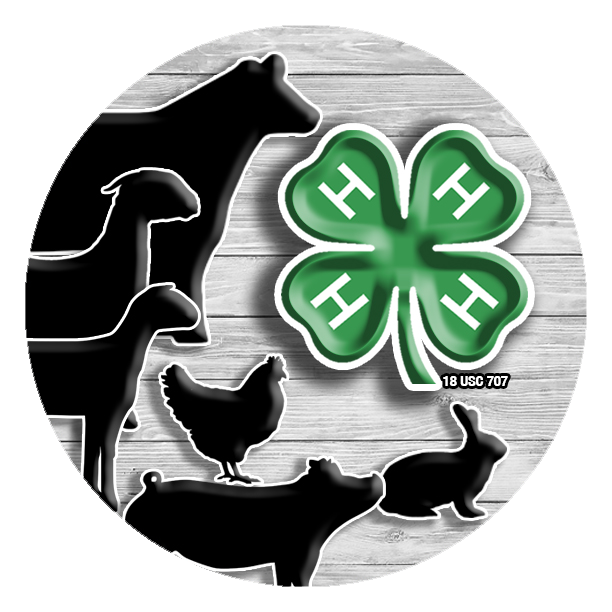 4-H Veterinary Science Project | Loudon County